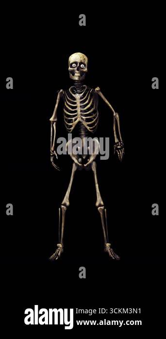 Skeleton Dancing 'The Running Man' 3D Animation Vertical Video Stock ...