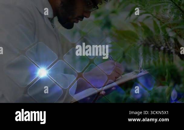 At 3s, digital overlay emerging and researcher examining ferns ...