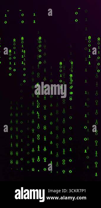 Binary code and data flow over purple fiber optic strands. Technology ...