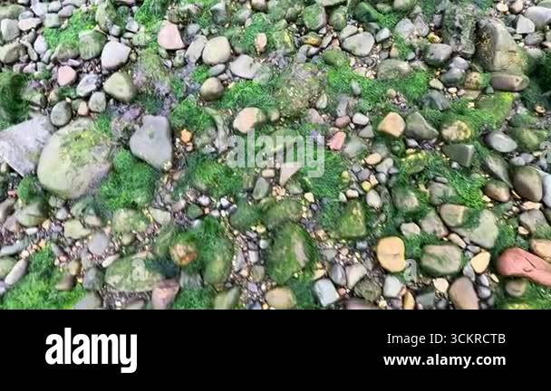 Scottish rocks Stock Videos & Footage - HD and 4K Video Clips - Alamy