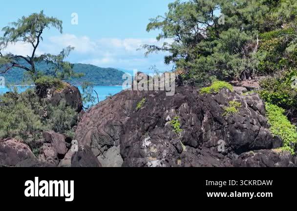 Drone captures lush coastal scenery with rocky cliffs and vibrant blue ...