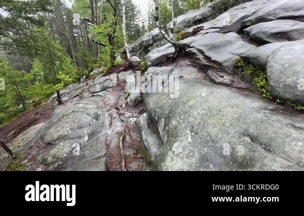 Mountain peak trees on Stock Videos & Footage - HD and 4K Video Clips ...