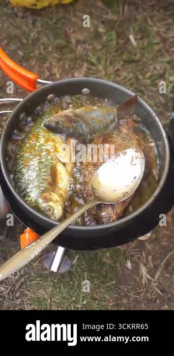 Cooking whole fish in a pan using a portable stove at a campsite in ...