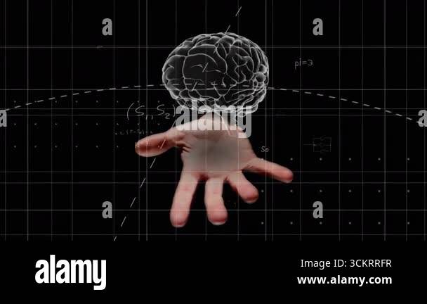 Dashed curve appearing hand lifting brain mesh rotating equations accumulating visualizing data ...