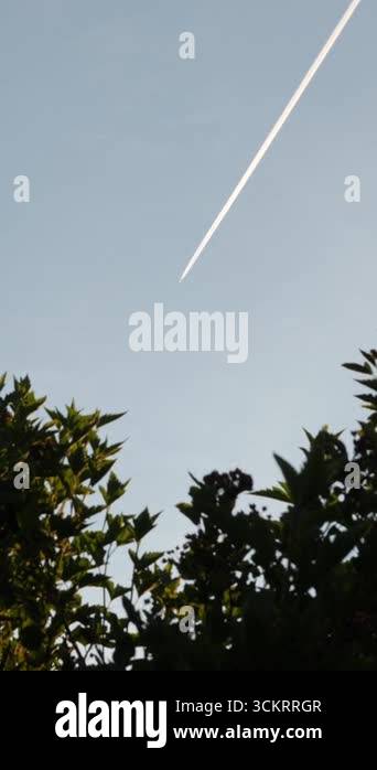 Contrail in twilight sky above silhouetted foliage. Vertical video Stock Video Footage - Alamy