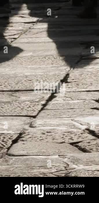 Elongated shadows on pavement Stock Videos & Footage - HD and 4K Video ...