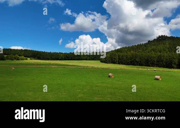 field hay forest flying drone over Stock Video Footage - Alamy
