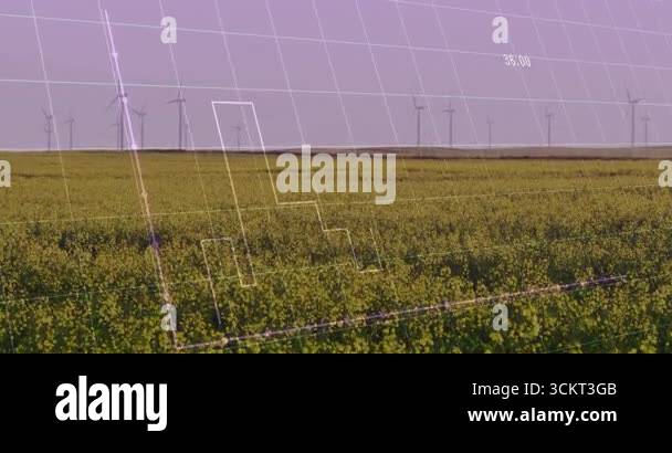 3D grid overlay appearing over field, white bars rising and falling ...