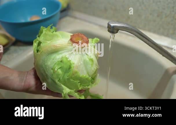 Woman washing fresh lettuce under running water in the kitchen sink ...
