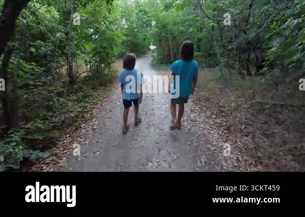Two brothers walking together on forest path, siblings enjoying nature ...