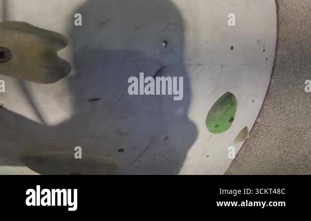 POV video of indoor climbing on colorful bouldering wall, climber ...
