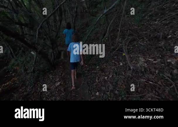 Two brothers walking together on forest path, siblings enjoying nature ...