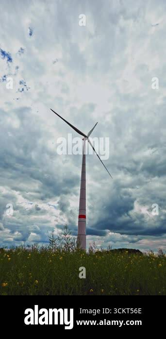 Turbine generators in a field against a blue sky and wheat field. Wind ...