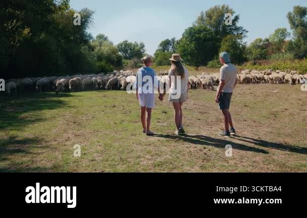 Farmer family standing together and watching a flock of sheep grazing ...