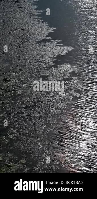 Sunlight creates mesmerizing reflections on a gently flowing river ...