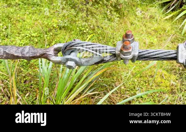 Close-up of a metal cable bridge with bolts and nuts amidst vibrant ...