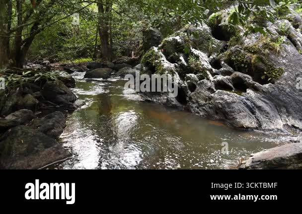 Rocky stream flows through Stock Videos & Footage - HD and 4K Video ...