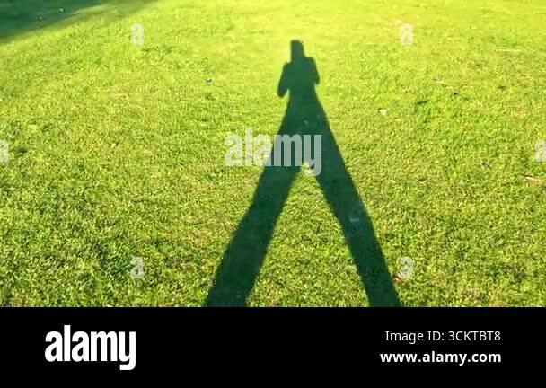 A shadow stretches across vibrant green grass, capturing the playful ...