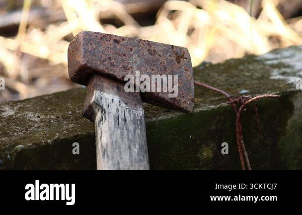 Close-up of an old rusty axe resting on a mossy concrete ledge. Still ...