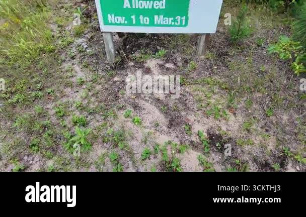 Forest Fire Meter rating sign with options, Total Fire Ban, Night ...