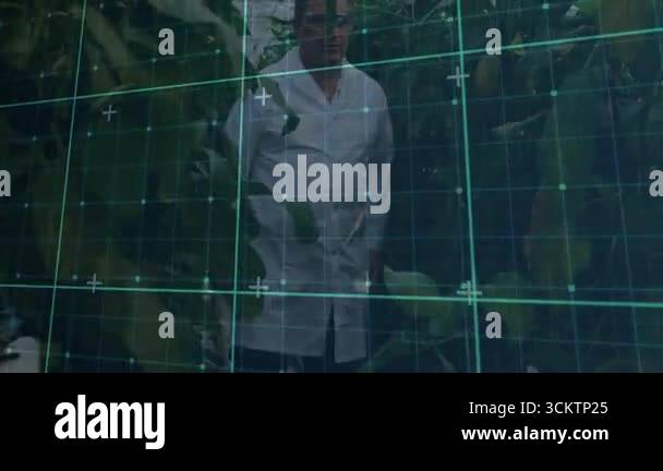 Camera tracking grid scanning male researcher pushing leaves while ...