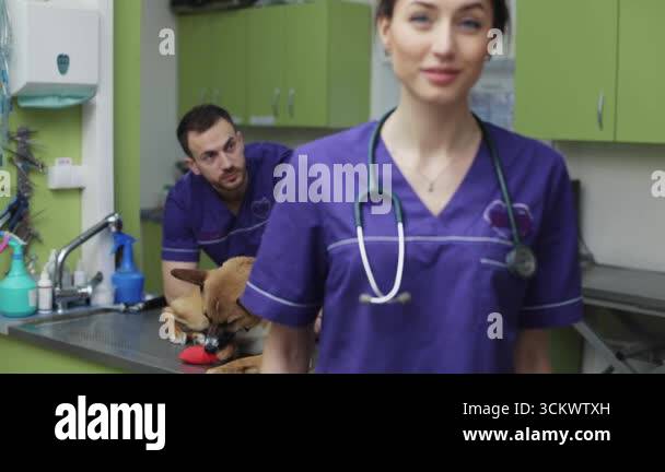 Portrait woman vet look camera smiling background assistant inspects ...