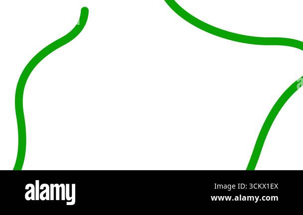 Animated green decorative wavy lines is drawn. Linear background with ...