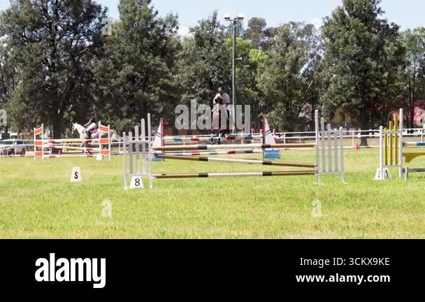 Horse and rider navigating a show jumping course Stock Video Footage ...