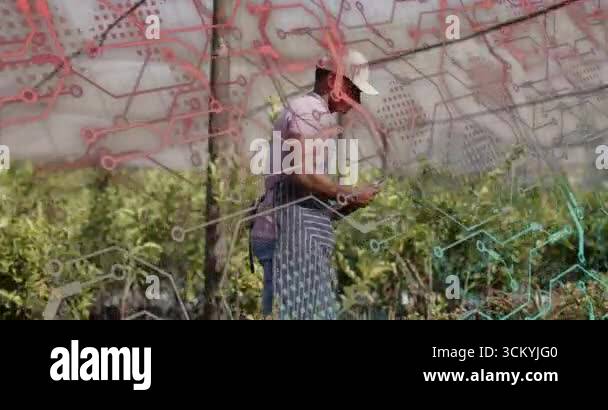 Gardener scrolling tablet showing animated data pruning shrubs with ...