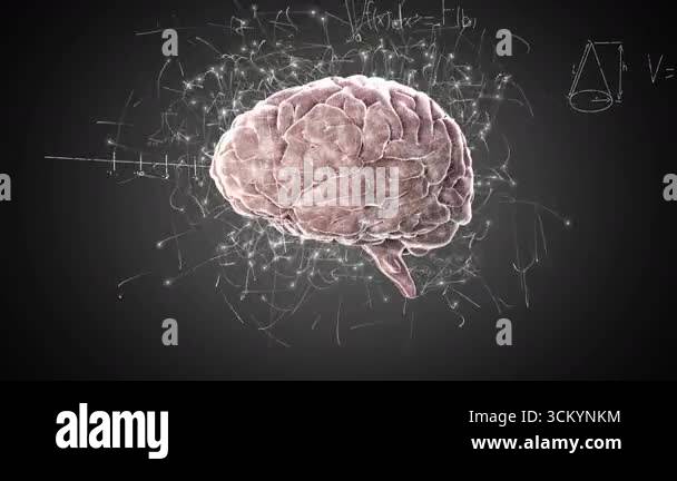 Animation of network of connections over spinning human brain icon and mathematical equations ...