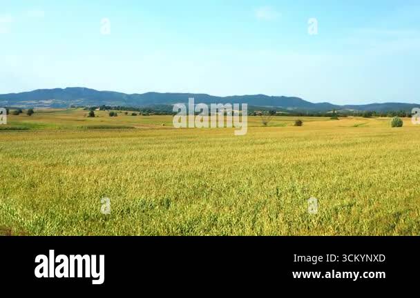 Beautiful rural landscape in Kalnik agriculture area, Prigorje region ...