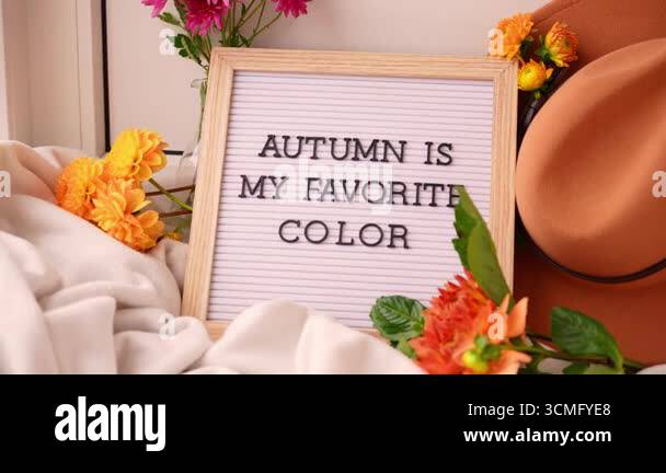 Saying AUTUMN IS MY FAVORITE COLOR in letter board Selective focus Bush ...