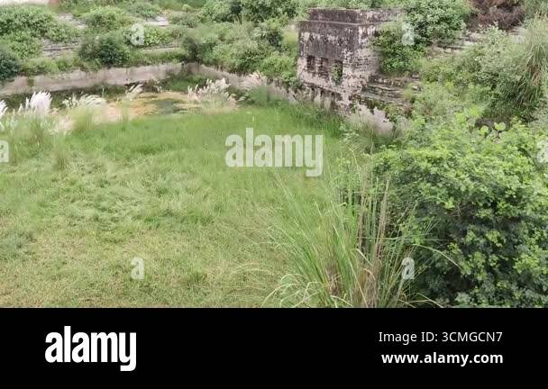 Queen Mango Historic Water Pond Section in Doongi Sar Sohawa Punjab ...
