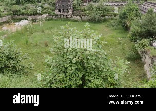 Ancient Water Pond in Sohawa Pakistan with Stone Steps Covered in Grass ...