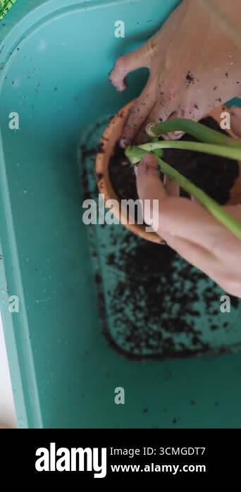 Dive into effective and engaging planting techniques in this handson ...