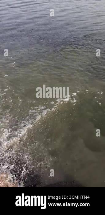 A school of fish gathers at the waters surface as water cascades from a ...