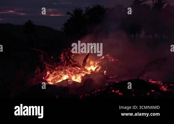 A nighttime wildfire burning through jungle, causing extensive ...