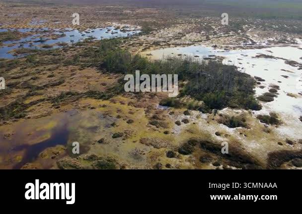 Drone captures a sweeping view of Yelnya bog in Belarus, showcasing ...