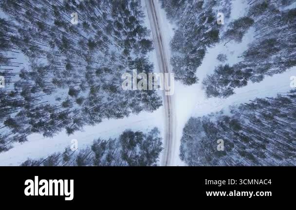 Symmetric trees with snow Stock Videos & Footage - HD and 4K Video ...