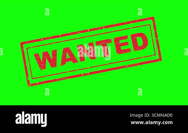 video animation rubber stamp wanted text concept icon, on a green ...