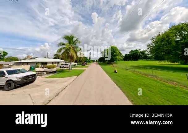 Collier house Stock Videos & Footage - HD and 4K Video Clips - Alamy
