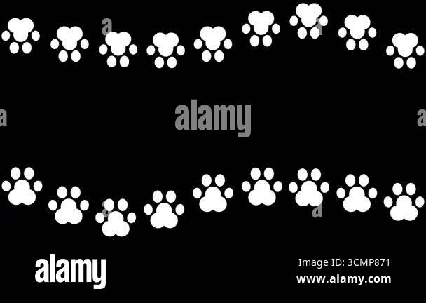 White cat paw print frame animation jumping on a horizontal black ...