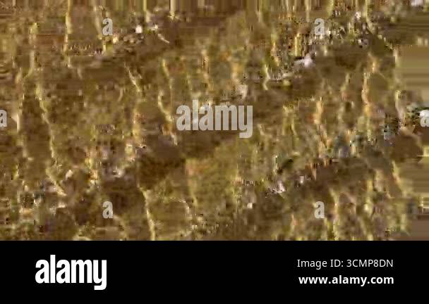 Clear rippling water creates golden patterns over small pebbles. High ...