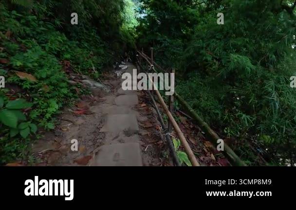 Hiking trail through jungle Stock Videos & Footage - HD and 4K Video ...