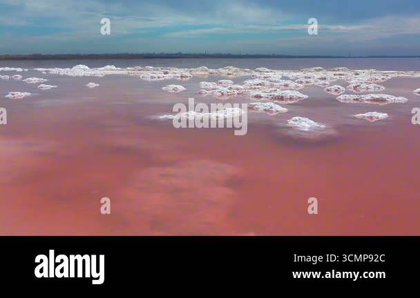 Kuialnyk Estuary, red salt water, salt Sodium chloride crystallized on ...