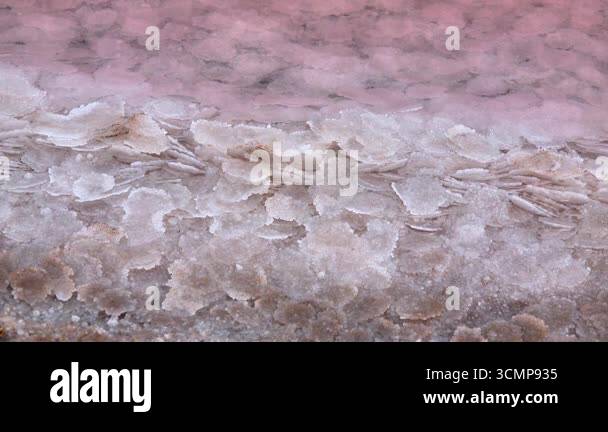 Kuialnyk Estuary, crystalline salt Sodium Chloride, crystallized on the ...