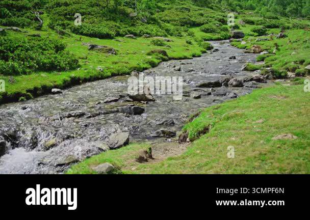 The flow of water in a mountain river. High quality 4k footage Stock ...