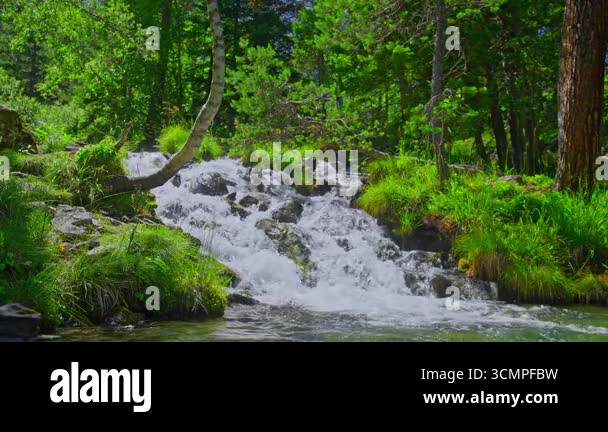 The flow of water in a mountain river. High quality 4k footage Stock ...