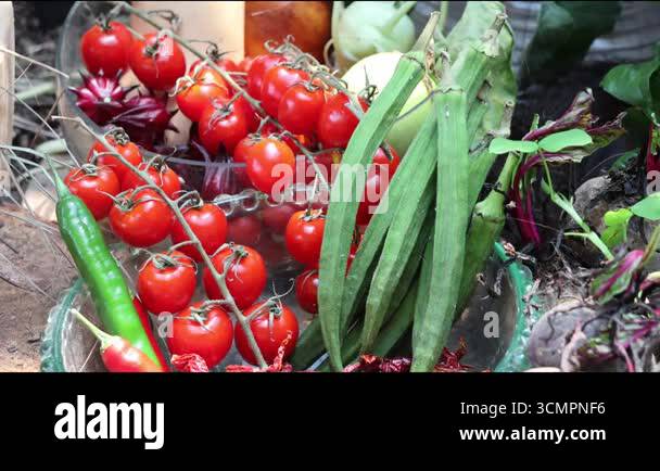 Assorted organic vegetables and fruits with tomato, okra and chili ...