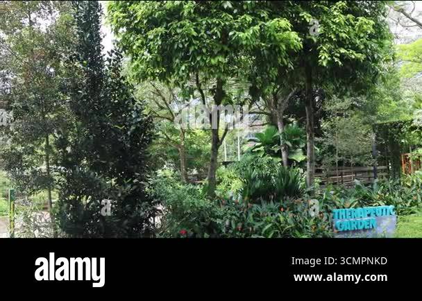 Elevated canopy Stock Videos & Footage - HD and 4K Video Clips - Alamy